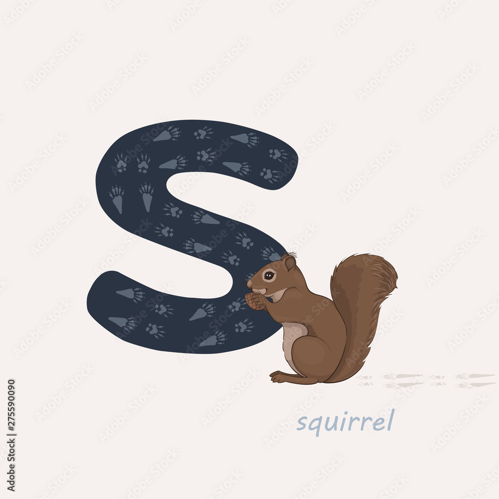 Dark blue letter S with squirrel's footprints, a cartoon squirrel ...