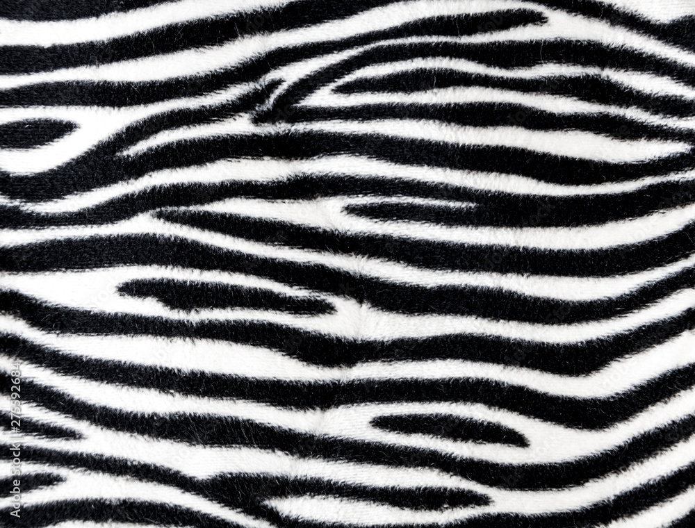 Zebra fur background texture Stock Photo | Adobe Stock
