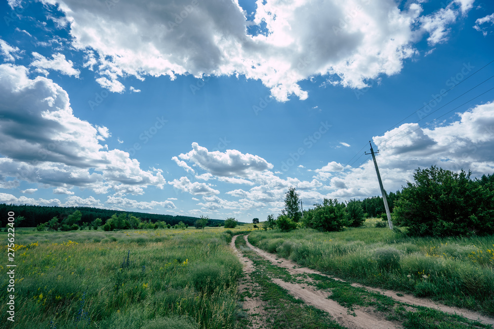 Lone road in the field Stock Photo | Adobe Stock