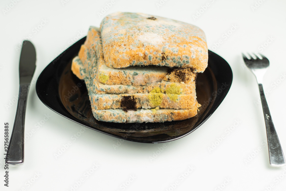 Mold grows quickly on moldy bread on a white background. Scientists ...