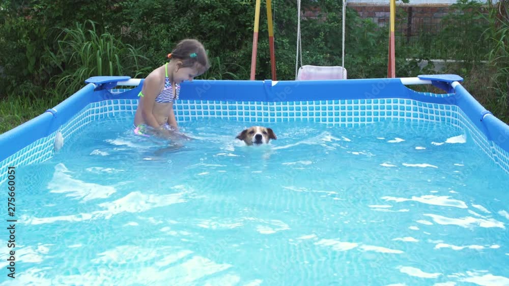 Little Girl Child Learning to Swim in the Pool With Dog Jack Russell ...