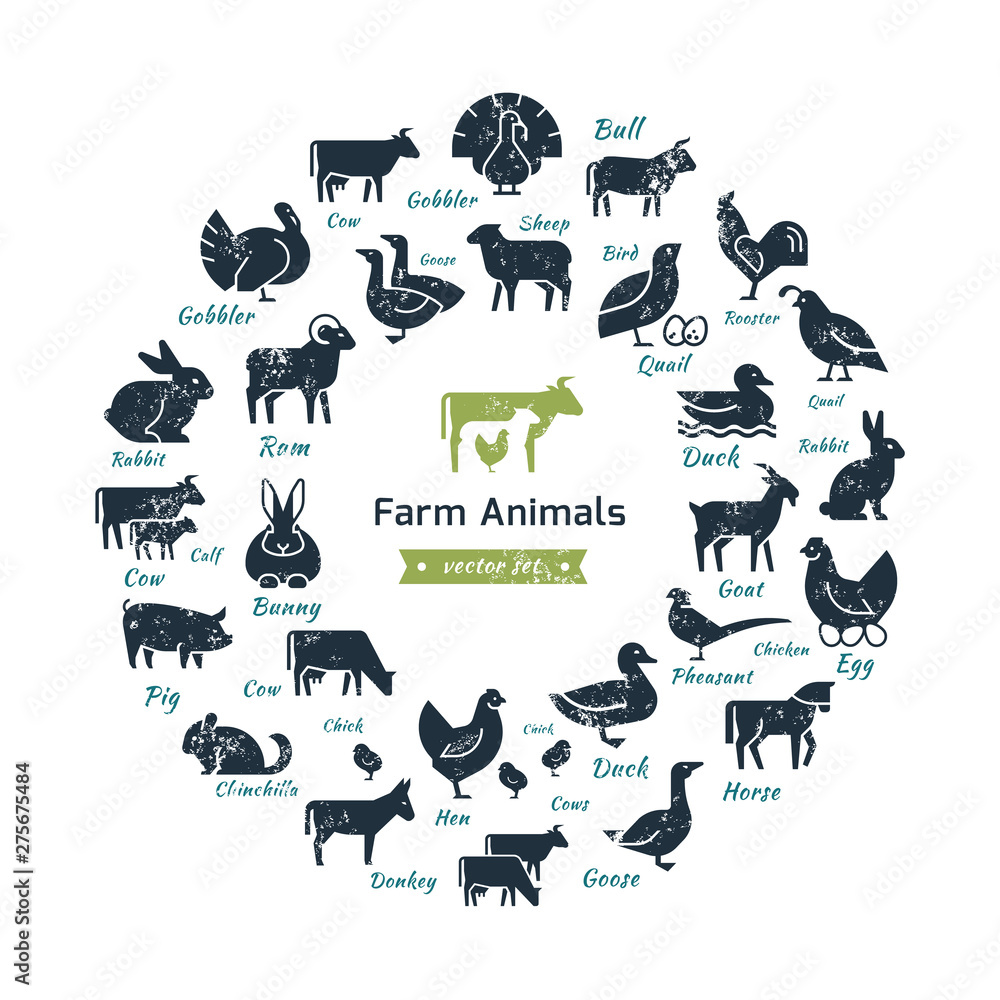 Circular vector icon set in a flat style of farm animals silhouettes ...