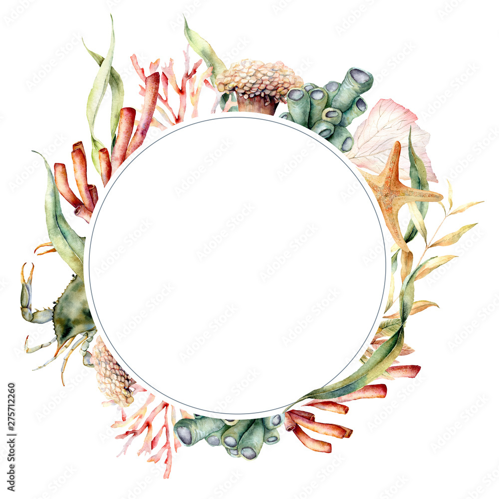 Watercolor circle border with coral reef plants. Hand painted seaweeds ...