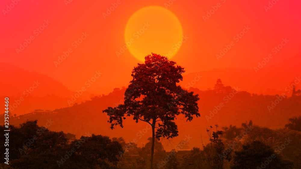 Beautiful African sunset with a big tree. Silhouette of big tree over ...
