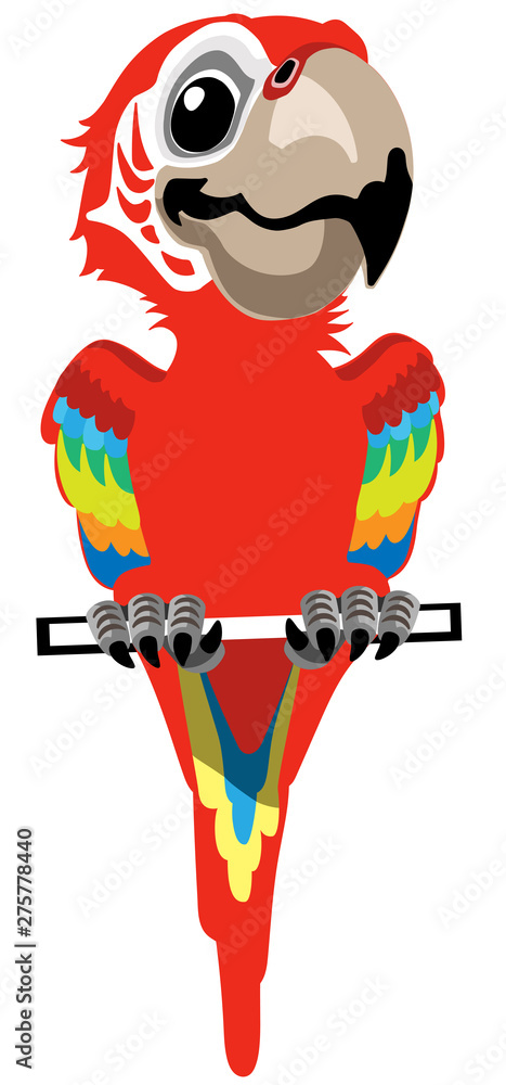 Cartoon red macaw parrot. Ara Ararauna. Vector illustration isolated on ...