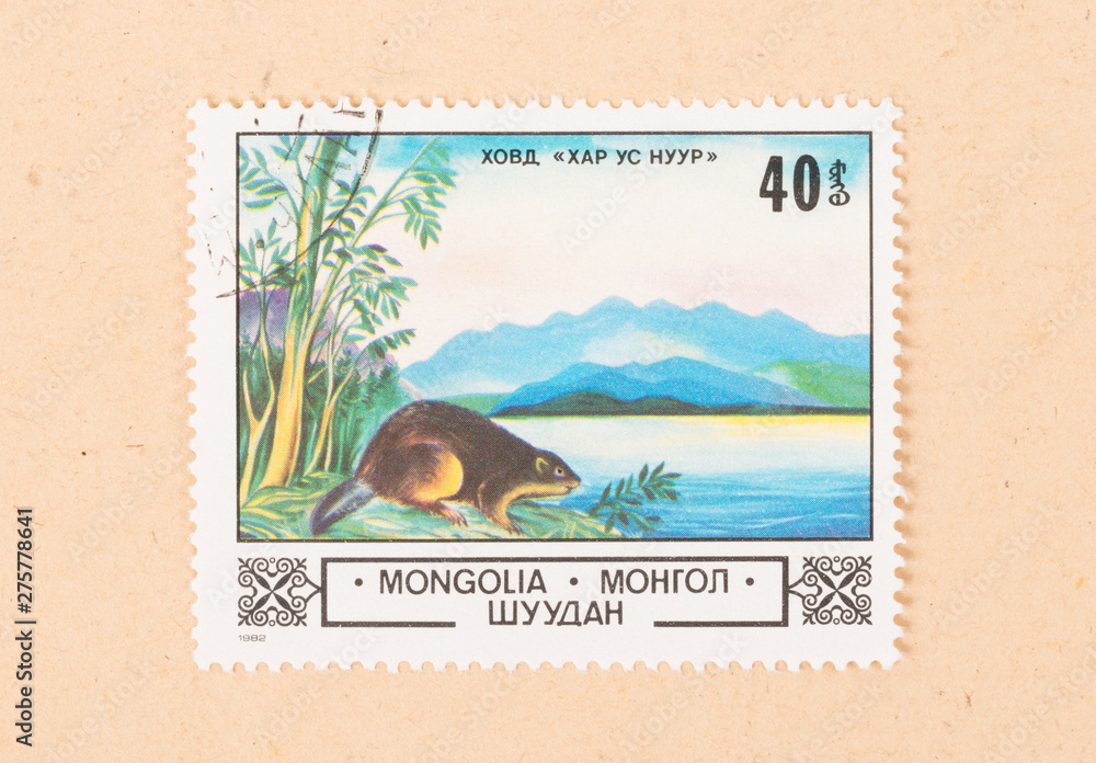 MONGOLIA - CIRCA 1973: A stamp printed in Mongolia shows a beaver and a ...