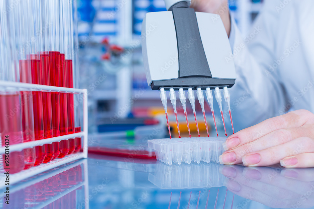 Multichannel pipette in the laboratory Stock Photo | Adobe Stock