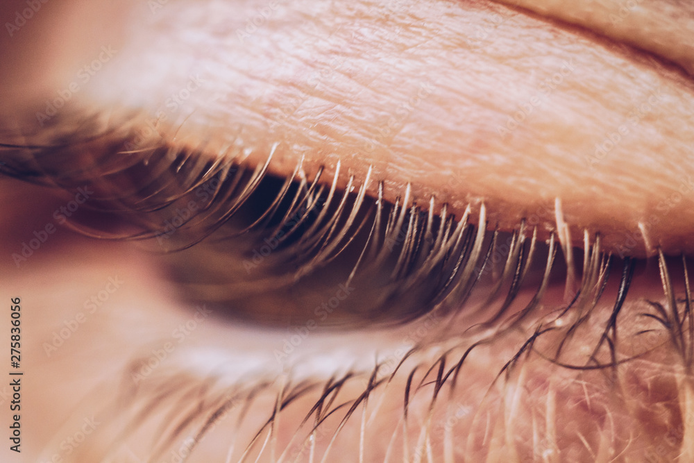 male eye close up. eyelashes in macro. upper and lower eyelid Stock ...