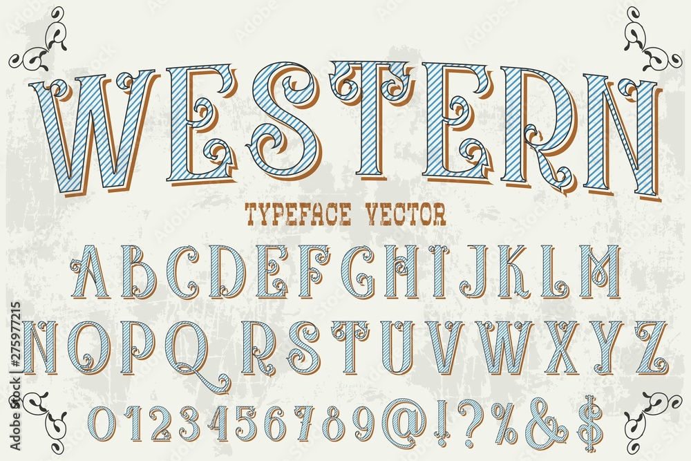 Font alphabet Script Typeface handcrafted handwritten vector label ...