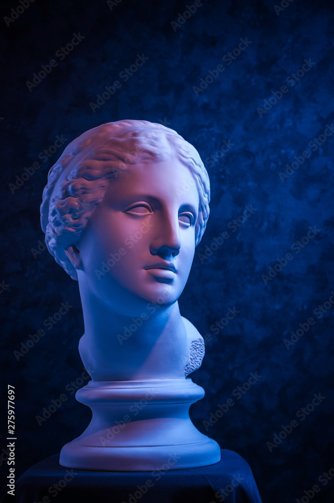 Gypsum copy of ancient statue Venus head on a dark blue textured ...