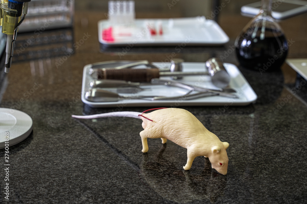 Artificial lab rat and surgical tools set on laboratory worktop Stock ...