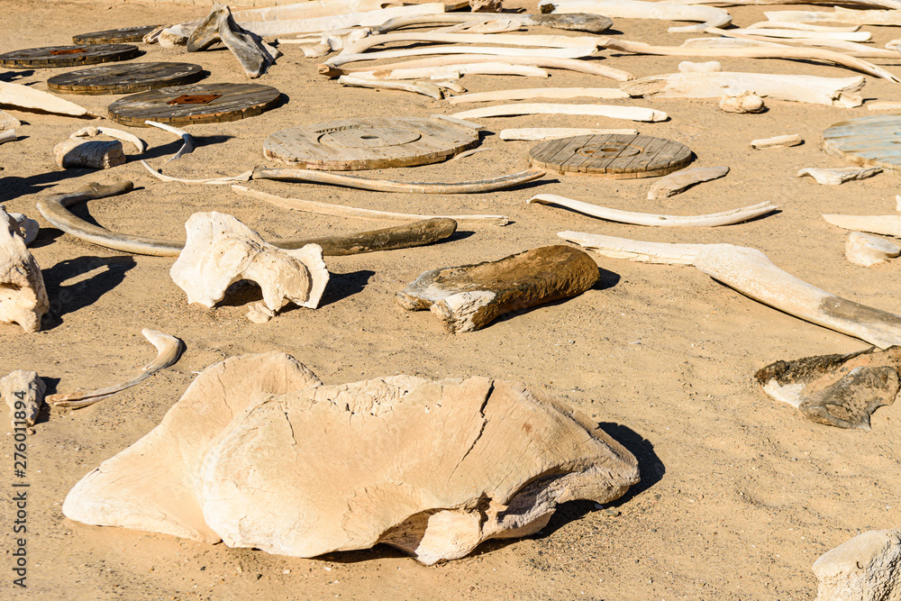 Collection of whale bones at the Skeleton Coast, Namibia. The coast got ...