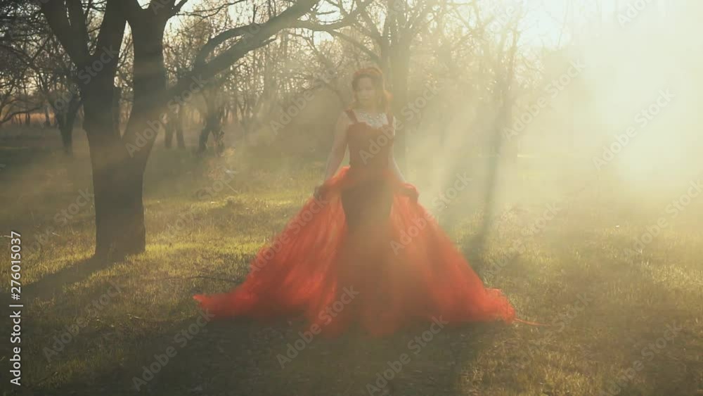 mysterious lady in a long expensive luxury dress with a light lush ...
