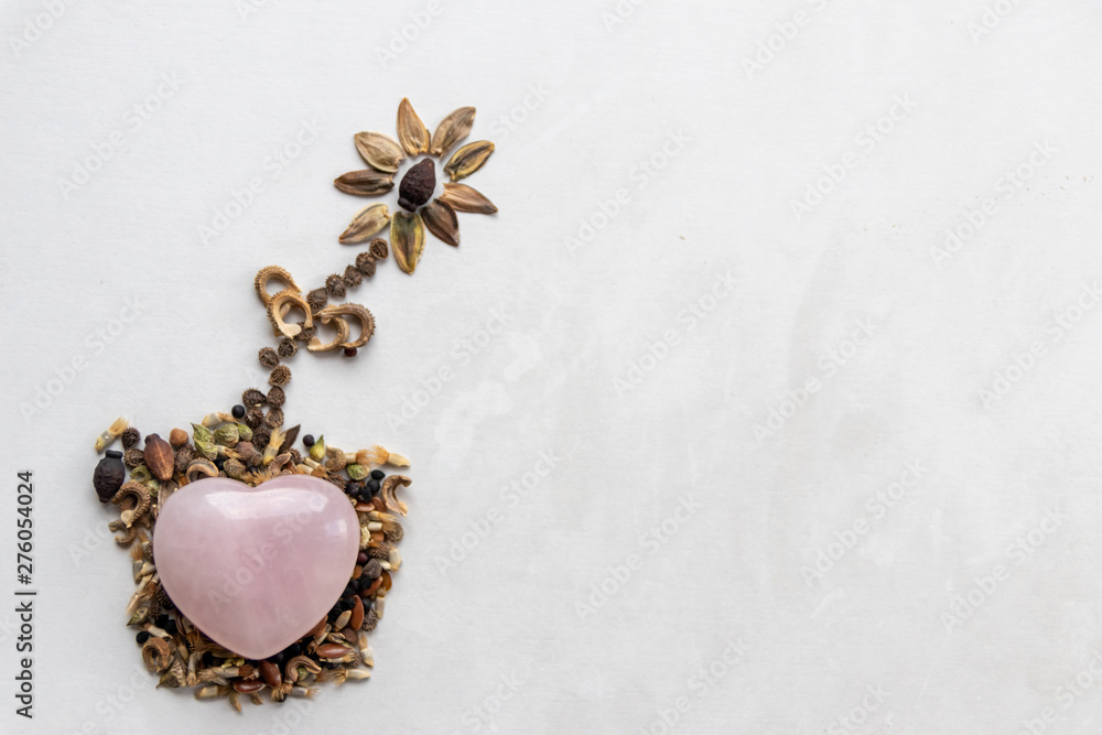 Blume gelegt aus Blumensamen in einem arrangierten Blumentopf mit rosa ...