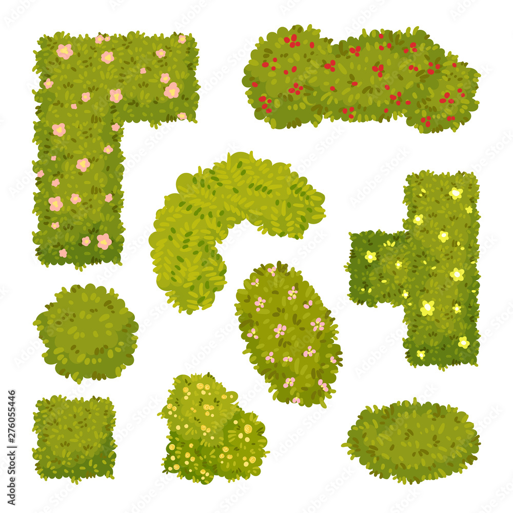 Set of images of garden bushes. Vector illustration on white background ...