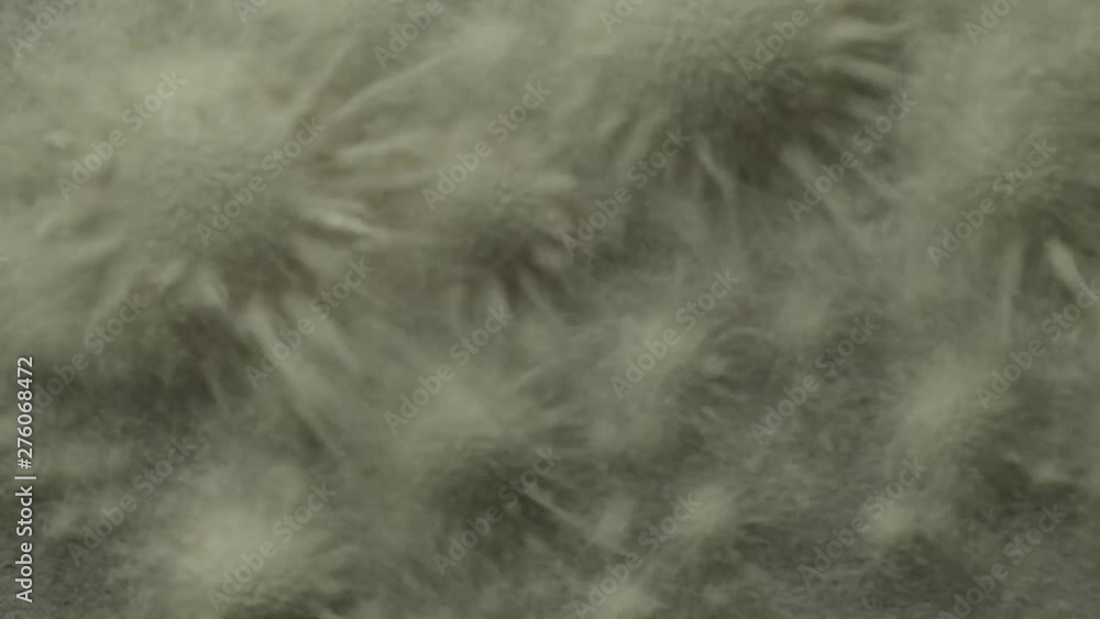 Sand-like substance bouncing off of vibrating surface forming cymatic ...