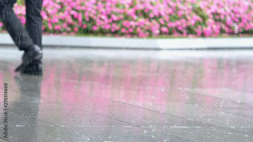 Rain water drops falling into puddle on asphalt, flooding the street ...