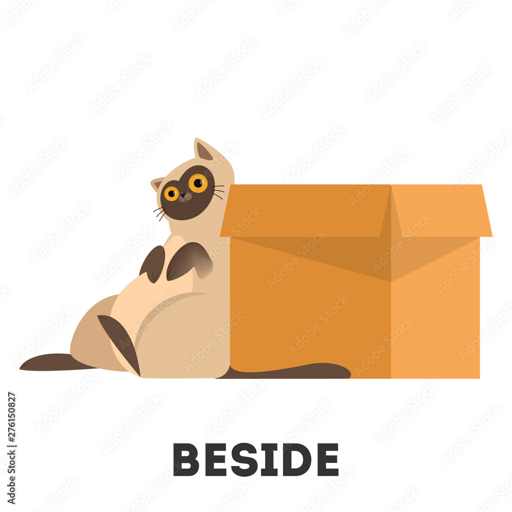 Cat and box. Learning preposition concept. Animal behind Stock Vector ...