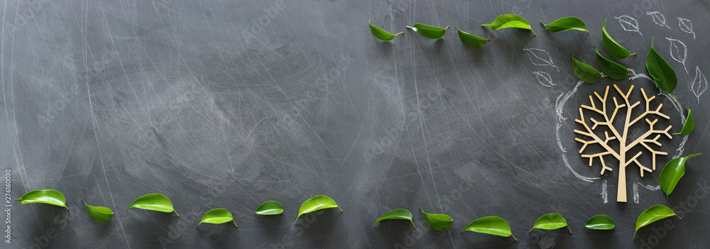 education and business concept. Top view banner of wooden tree and ...