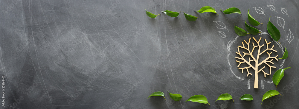 education and business concept. Top view banner of wooden tree and ...