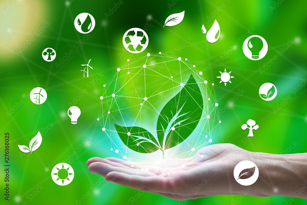 Hand holding with leaf and environment icons over the Network ...