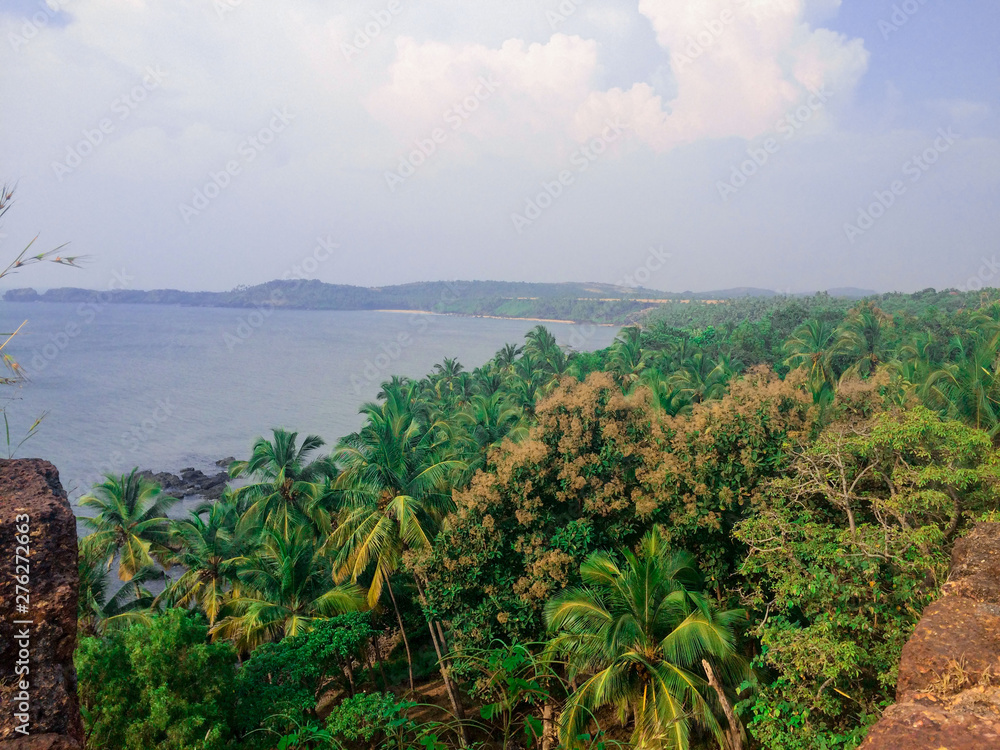 goa beach, greenery Stock Photo | Adobe Stock