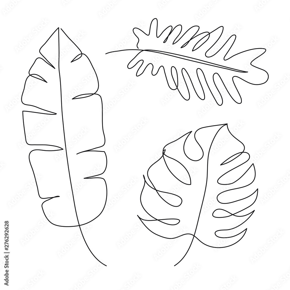 Leaf Line Drawing