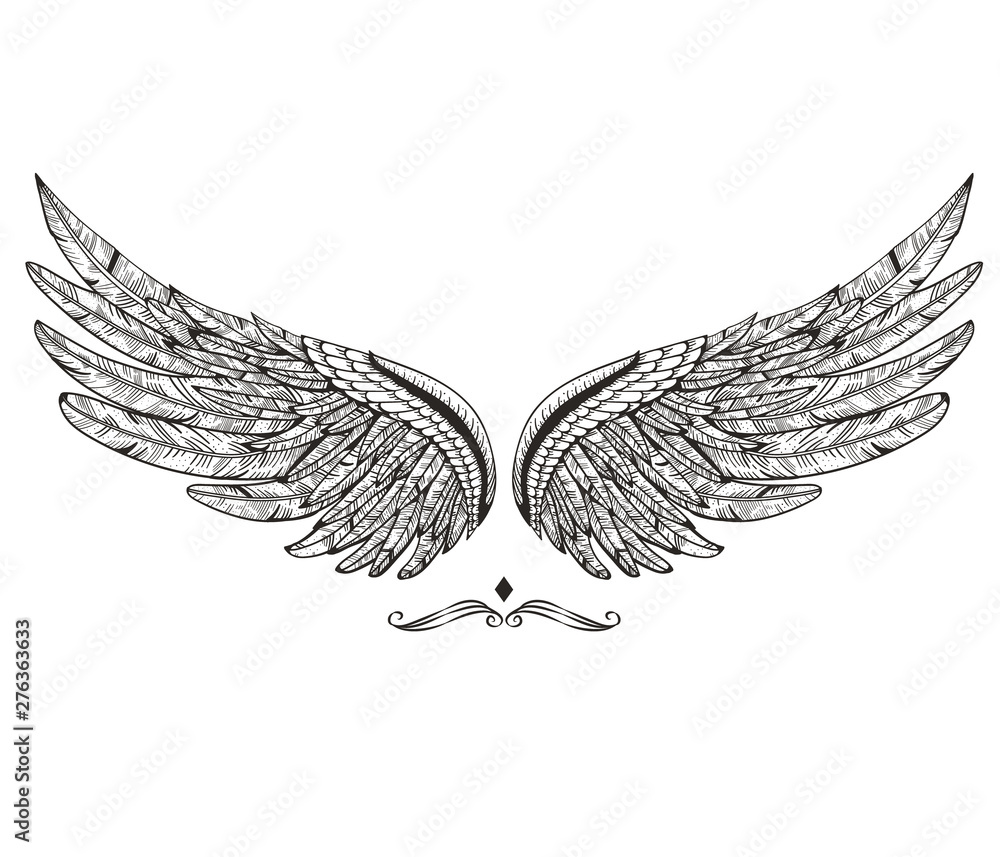 Vintage wings isolated on white background. Design elements for logo ...