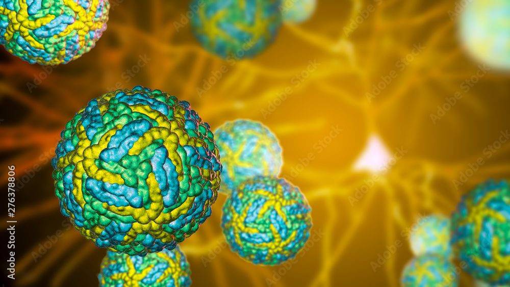 Zika viruses, the causative agent of Zika fever, transmitted by ...