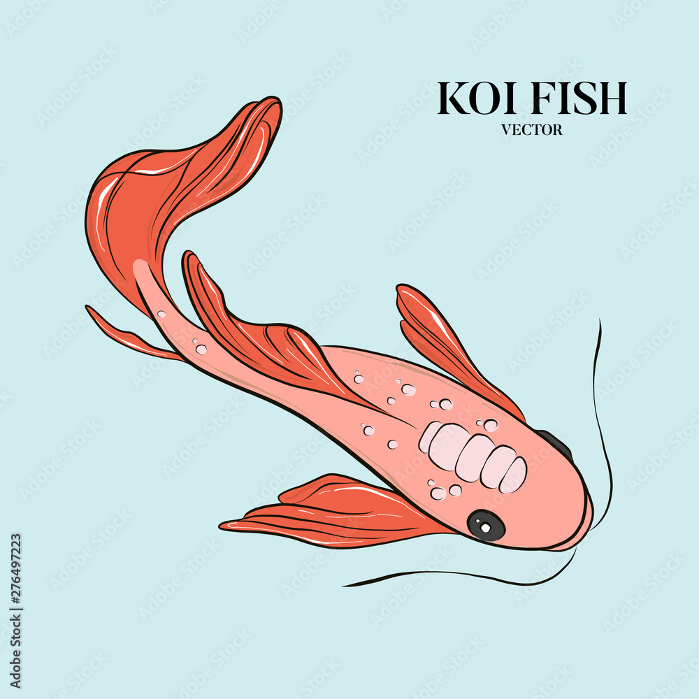Drawings Of Chinese Fish