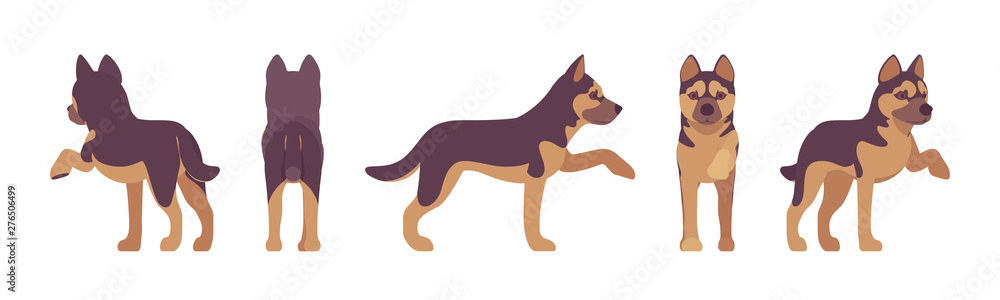 Shepherd dog giving paw. Working breed, family pet, companion for ...