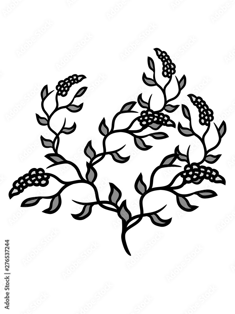 baum ranken gebüsch blume strauch pflanze gewächs gärtner blätter ...