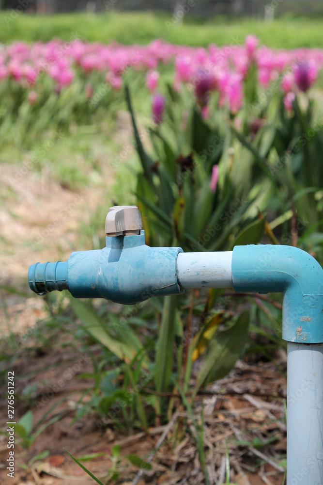 Old PVC pipe with PVC ball valve and hose connector in the garden ...