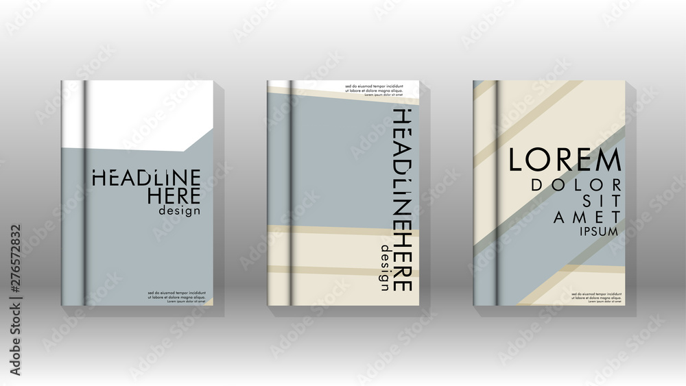 The book cover concept is abstract geometric background with a ...