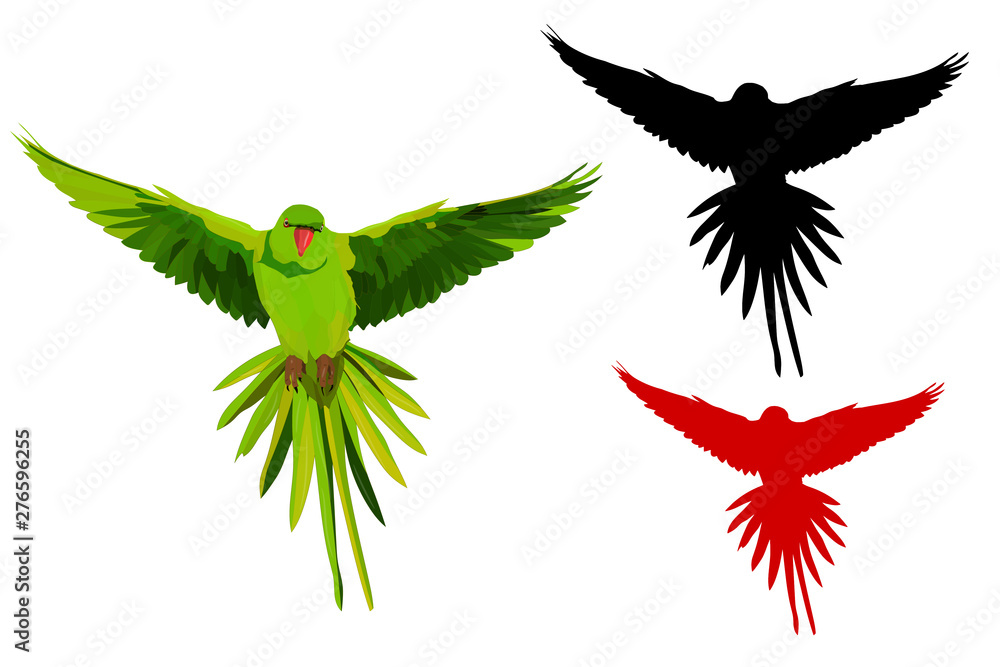 Cute bird Parrot flying. Realistic vector image. Bird: Alexandrine ...