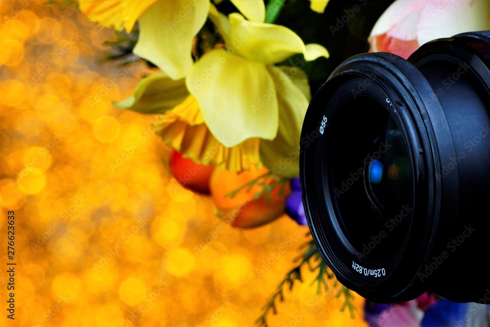 The lens of the artist's camera, summer flowers on a Golden background ...