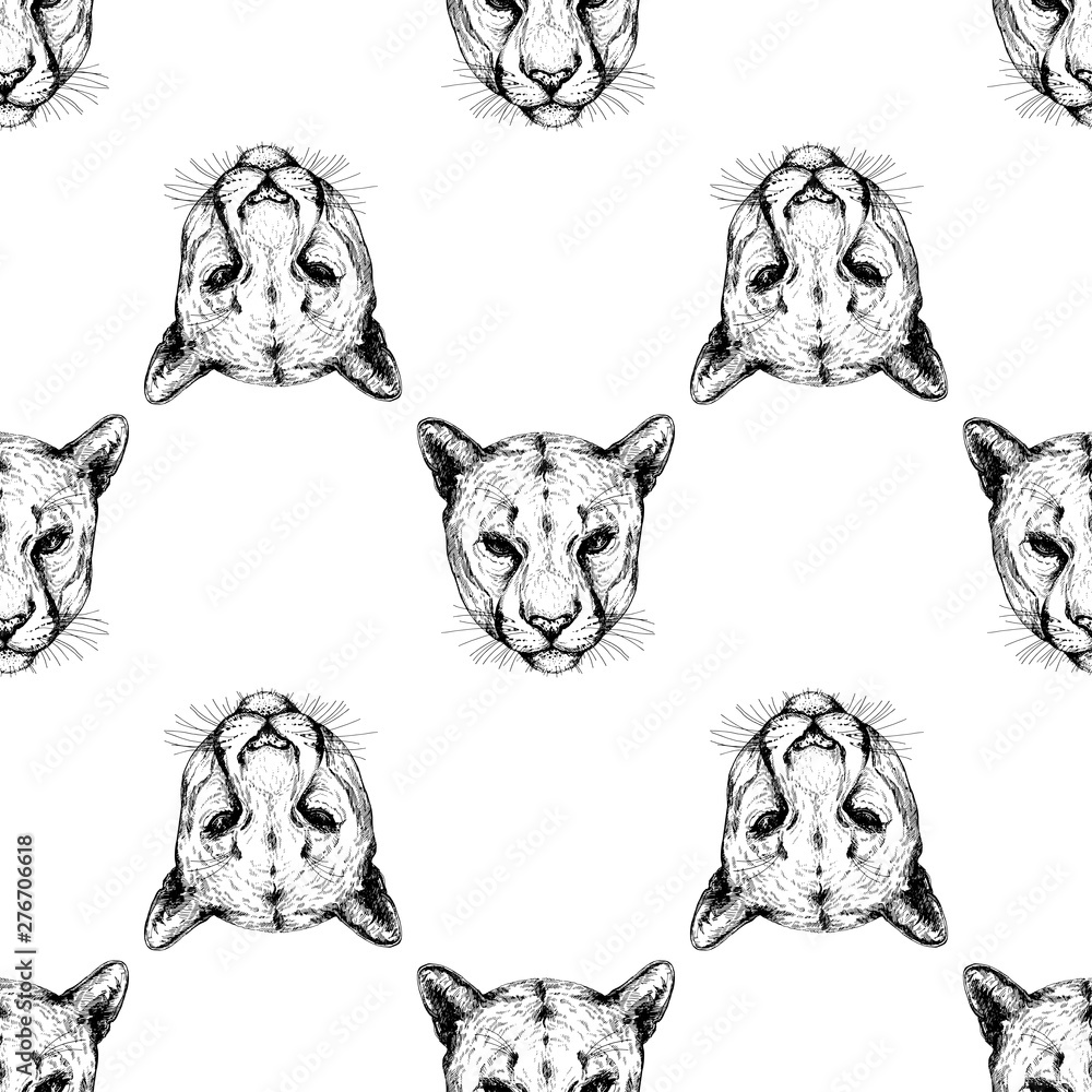 Seamless pattern of hand drawn sketch style portraits of puma isolated ...