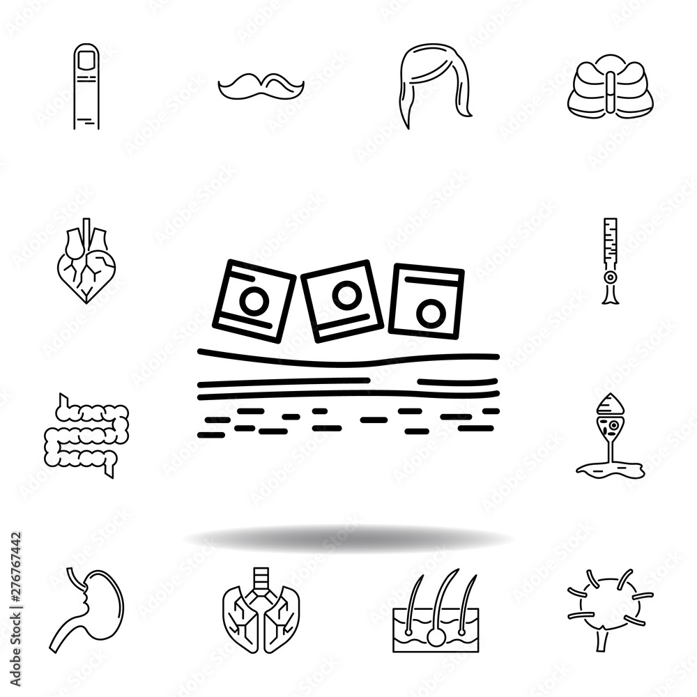 Vecteur Stock set of human organs mucous membrane outline icon. Signs ...