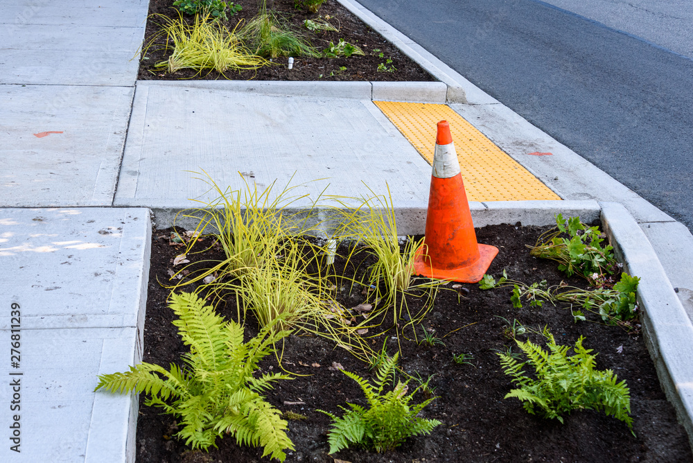 Newly planted median between the street and new sidewalk, including ...