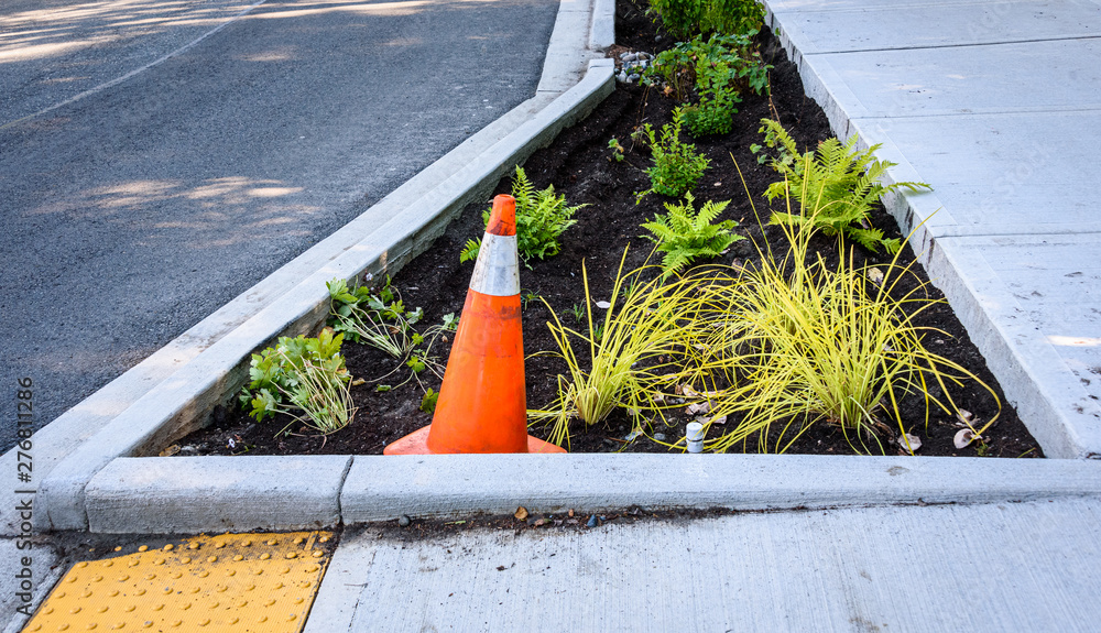 Newly planted median between the street and new sidewalk, including ...