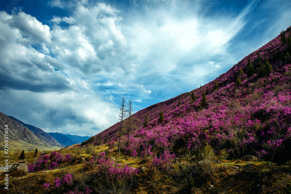 Beautiful Spring Landscapes Of The World