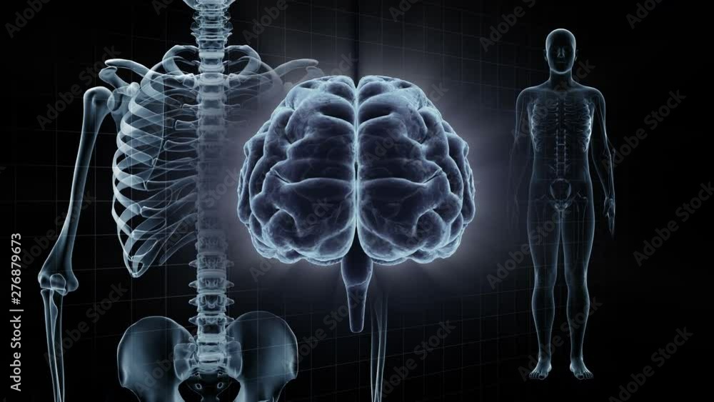Brain human body anatomy DNA life science concept image Stock Video ...