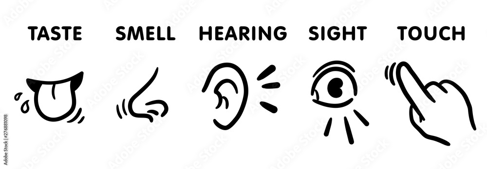 Five senses icon set, funny hand-drawn educational vector illustrations ...