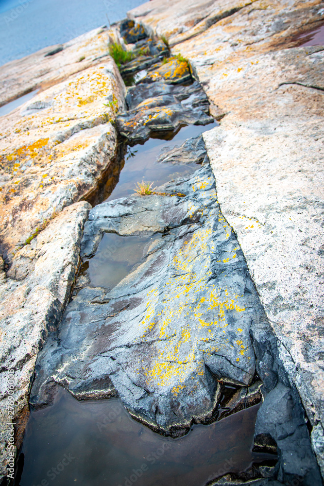 Black intrusive igneous basalt dike rock at Schoodic Point in Acadia ...