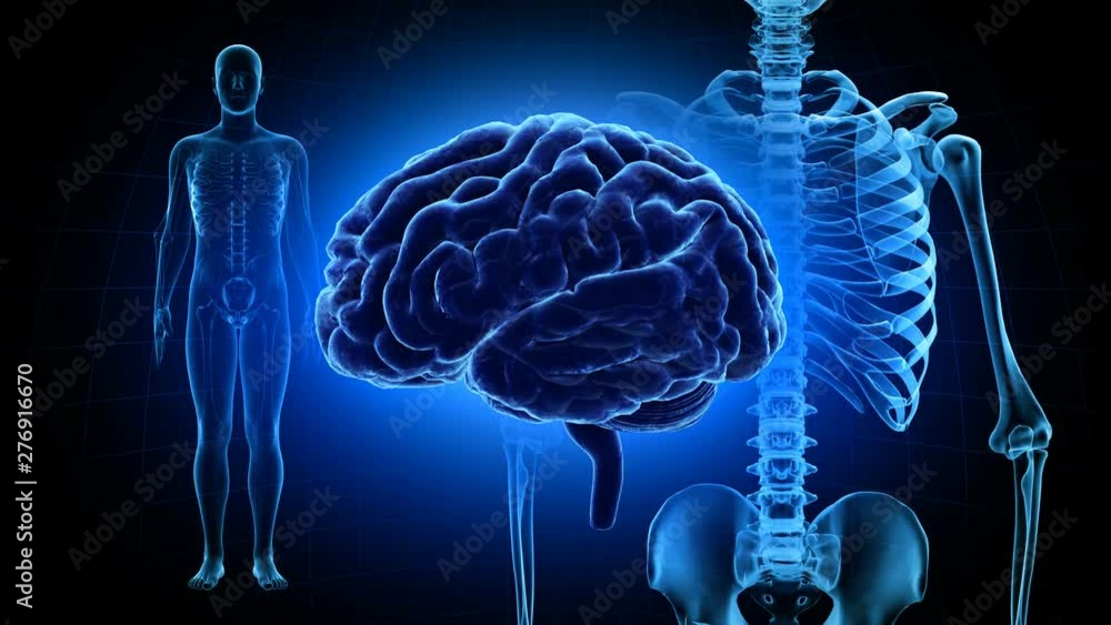 Brain human body anatomy DNA life science concept image Stock Video ...