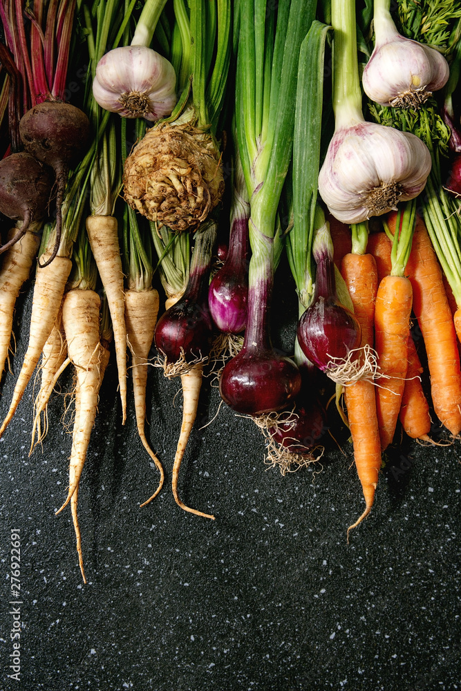 Variety of root garden vegetables carrot, garlic, purple onion ...