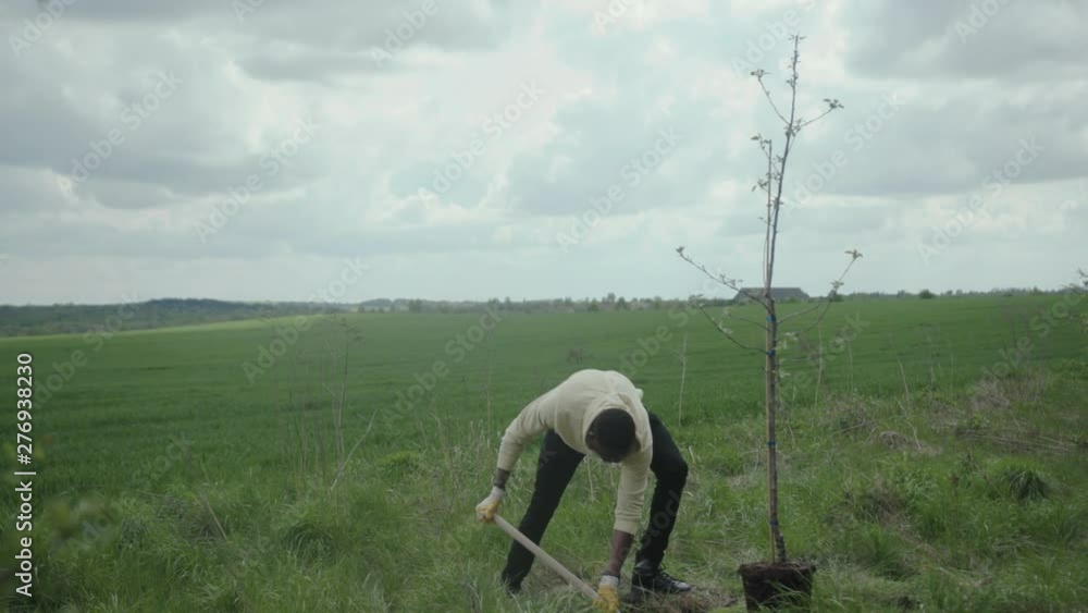 Handsome african american man with shovel plant tree field garden ...