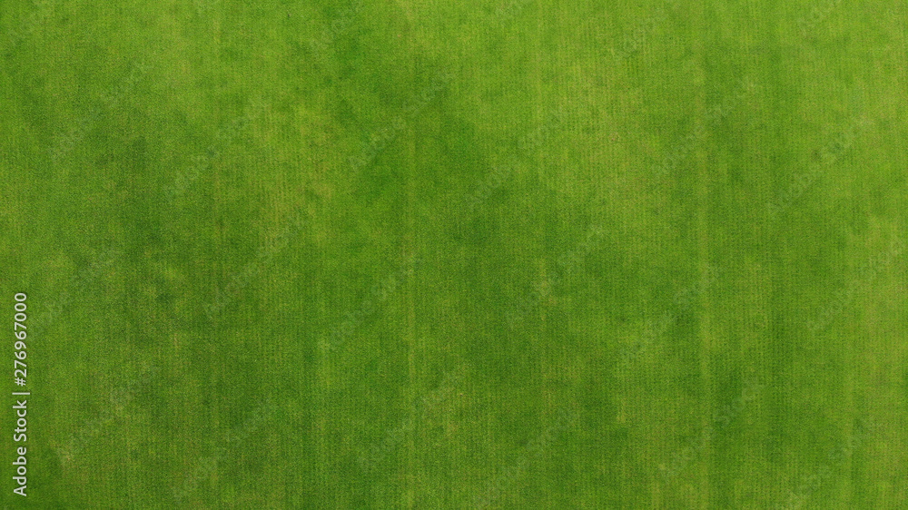 Aerial. Green grass texture background. Top view from drone. Stock ...