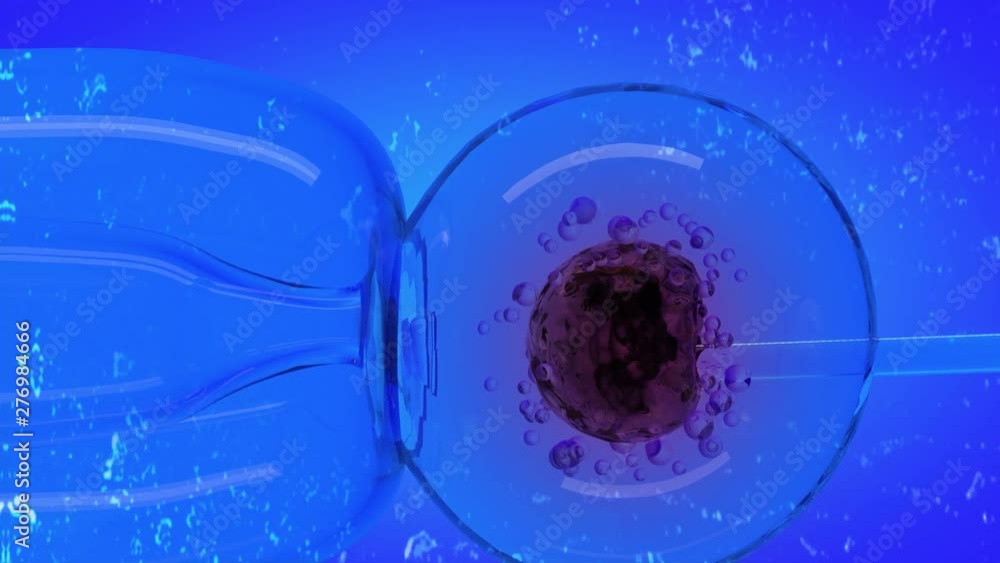 Microscopic view of drug delivery into cell, needle puncture of cell ...