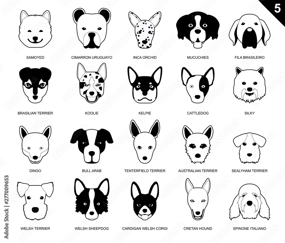 Dog Faces Stroke Icon Monochrome Cartoon 5 Samoyed Set Stock Vector ...